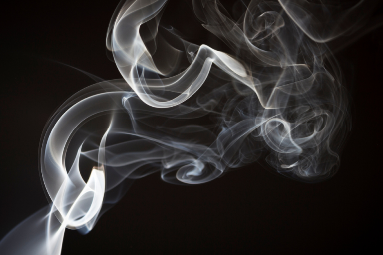 Blogue - Le Bourgeon