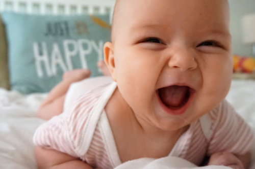 Blogue - Le Bourgeon